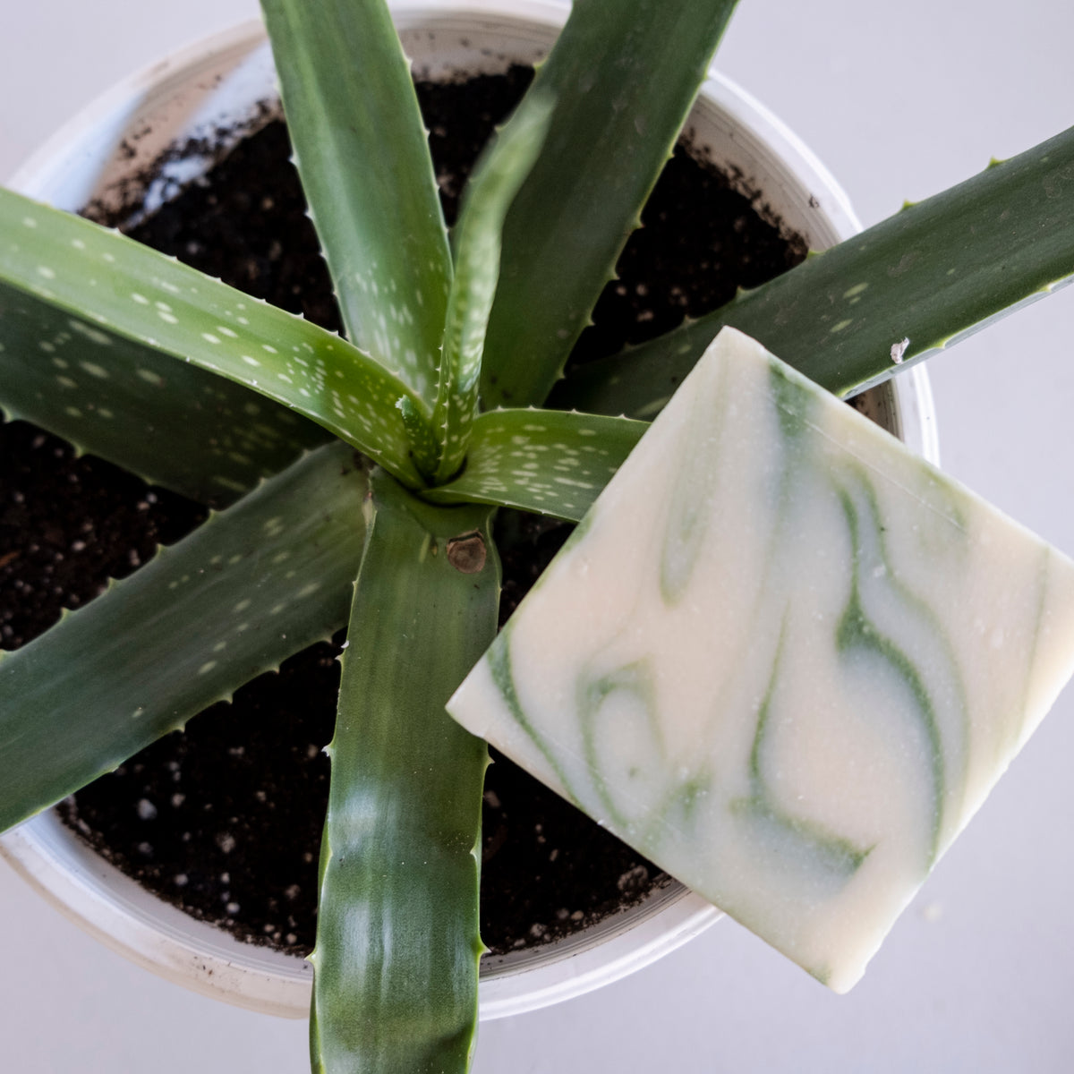 Handcut Bar Soap – Sampson Eco Shop